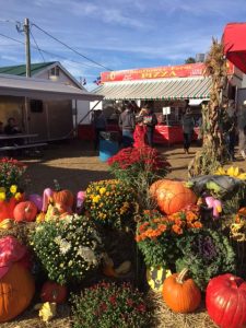 Top Eats at the 2015 Fryeburg Fair - Fair Food Rules!